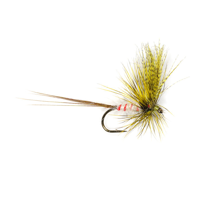 O'CONNOR'S MAY OLIVE – Clonanav Fly Fishing