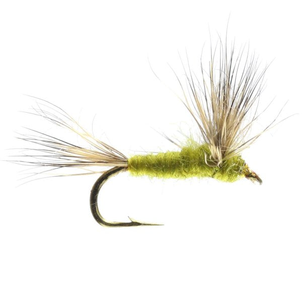 Comparadun Olive Sulphur – Clonanav Fly Fishing
